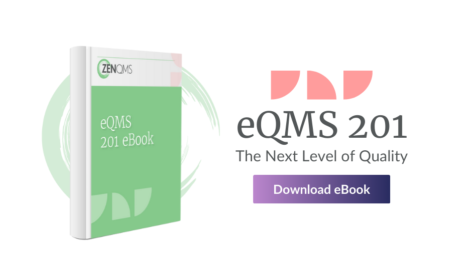 eQMS 201 eBook